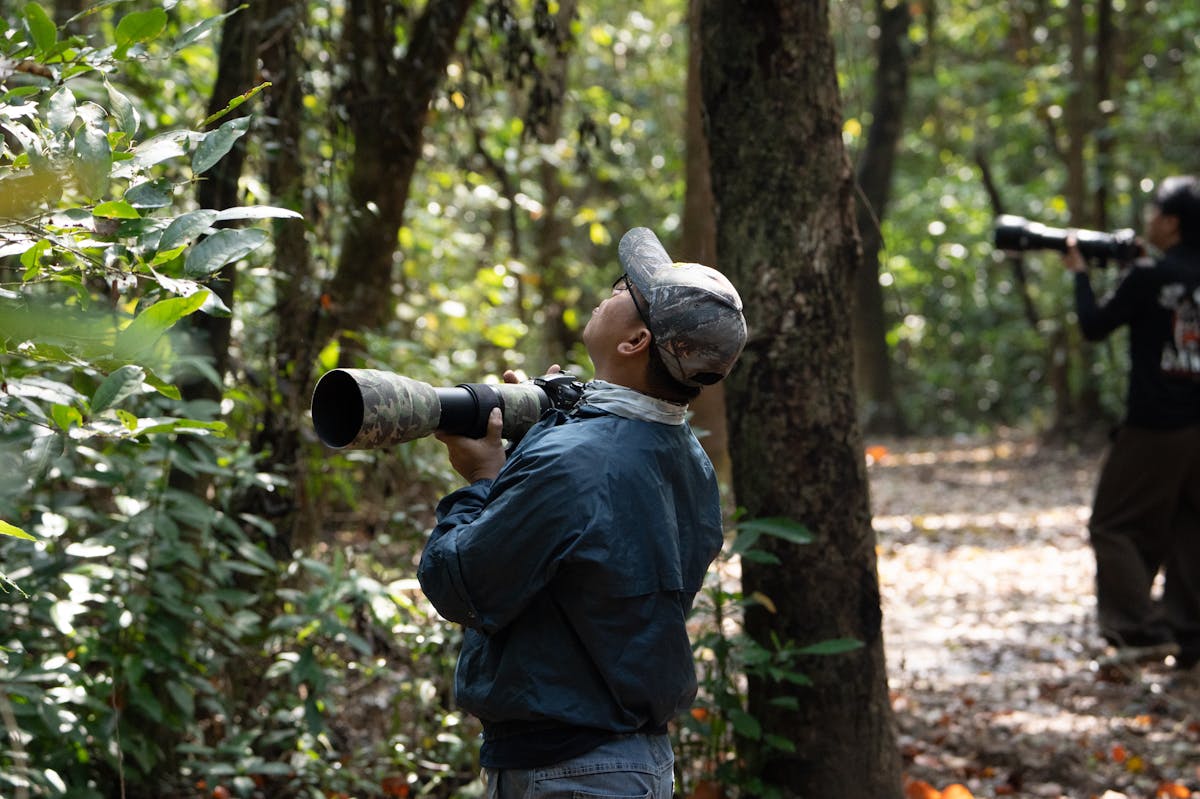 Best Binoculars for Bird Watching 2026: Every Budget Tested & Ranked