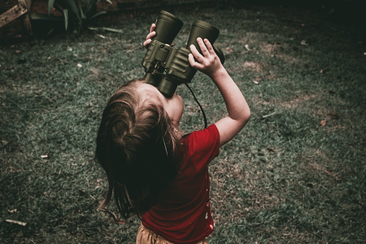 Best Binoculars for Bird Watching 2026: Every Budget Tested & Ranked